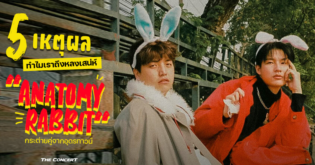 5 เหตุผลทำไมเราถึงหลงเสน่ห์ “Anatomy Rabbit" กระต่ายคู่จากอุดรทาวน์